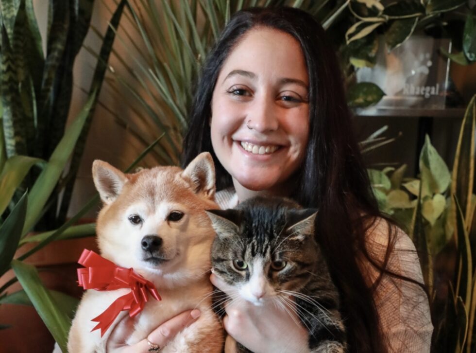 Best Vet Hospital In Omaha NE | Chalco Hills Animal Hospital