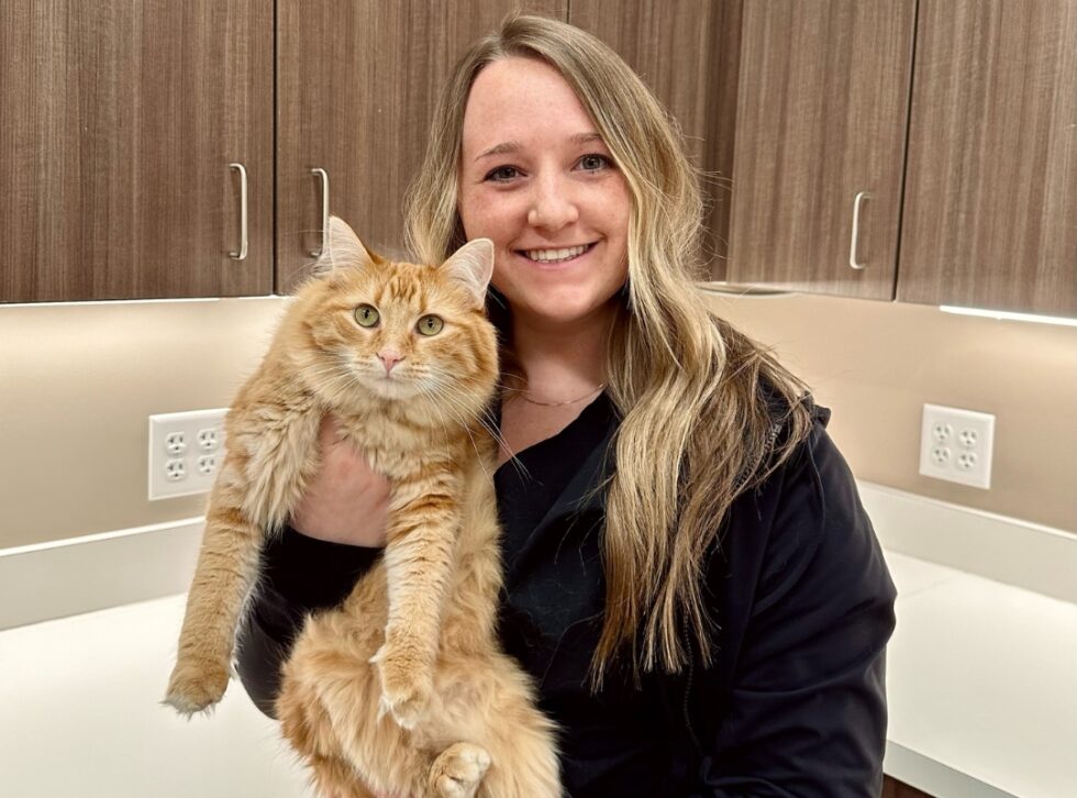 Best Vet Hospital In Omaha NE | Chalco Hills Animal Hospital